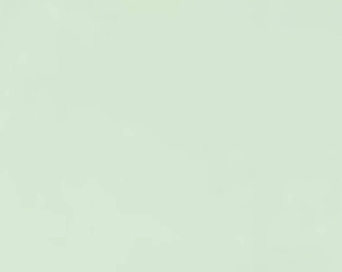 Plain Light Mint Green Background